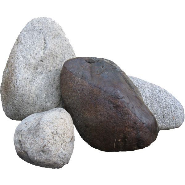 Pebble Stone PNG Vector Images with Transparent background - TransparentPNG