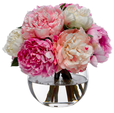 Peony Icon Clipart PNG Transparent Background 400x395px - Filesize ...
