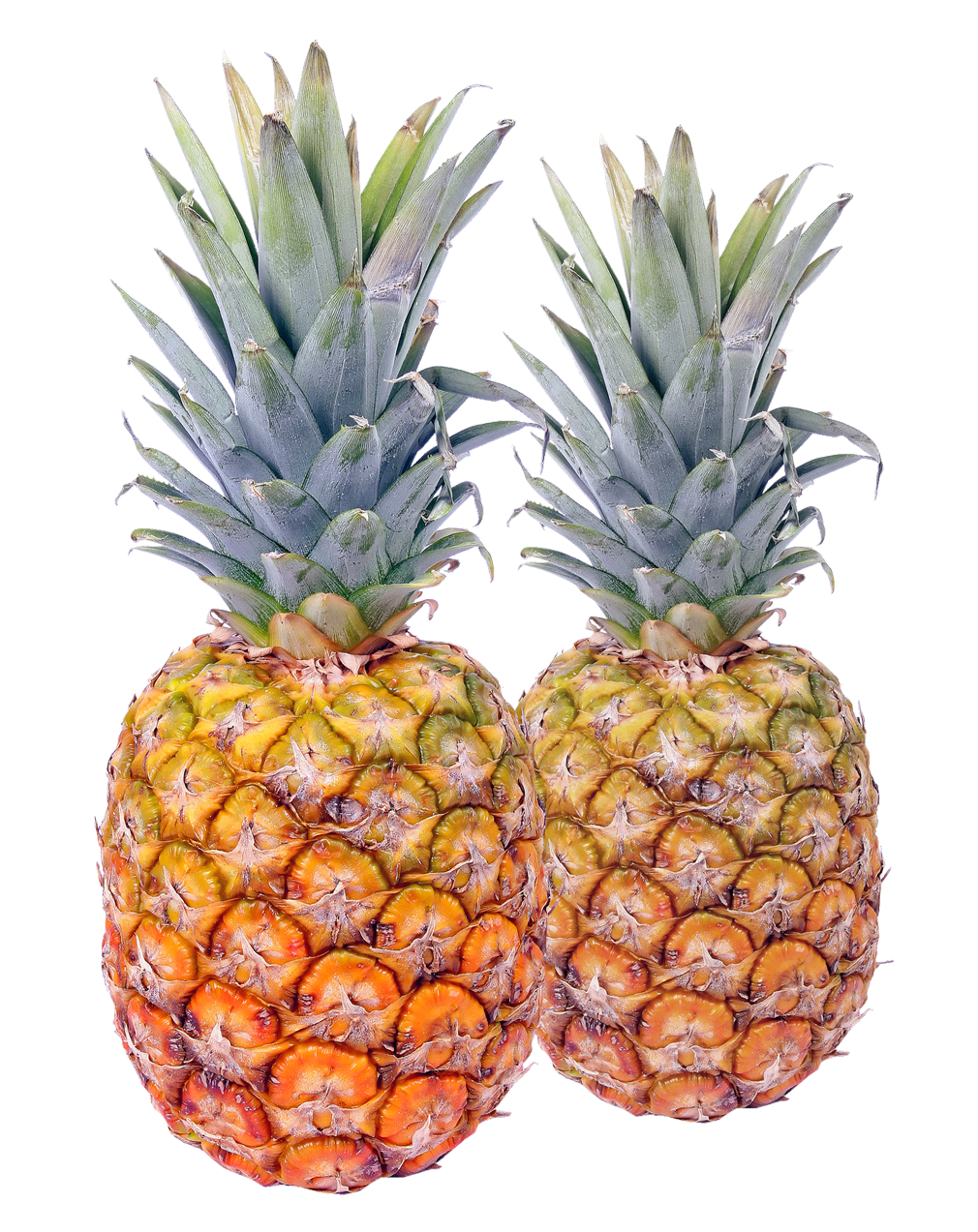 Two Pineapples Hd Download PNG Transparent Background 1010x1273px ...