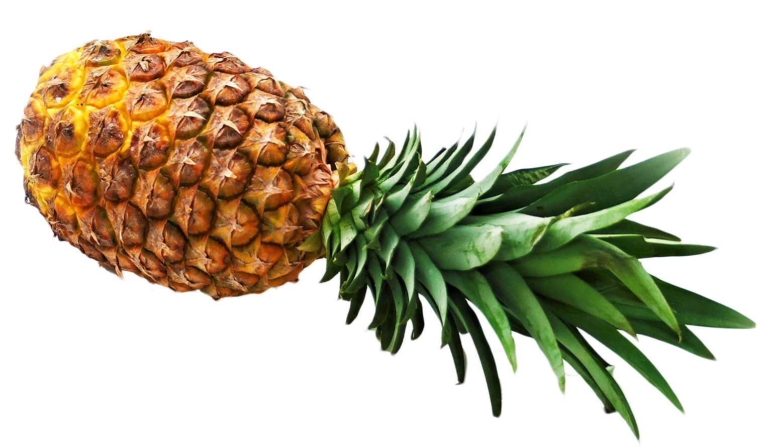 Horizontal Side View Pineapple Free Download PNG Transparent Background ...