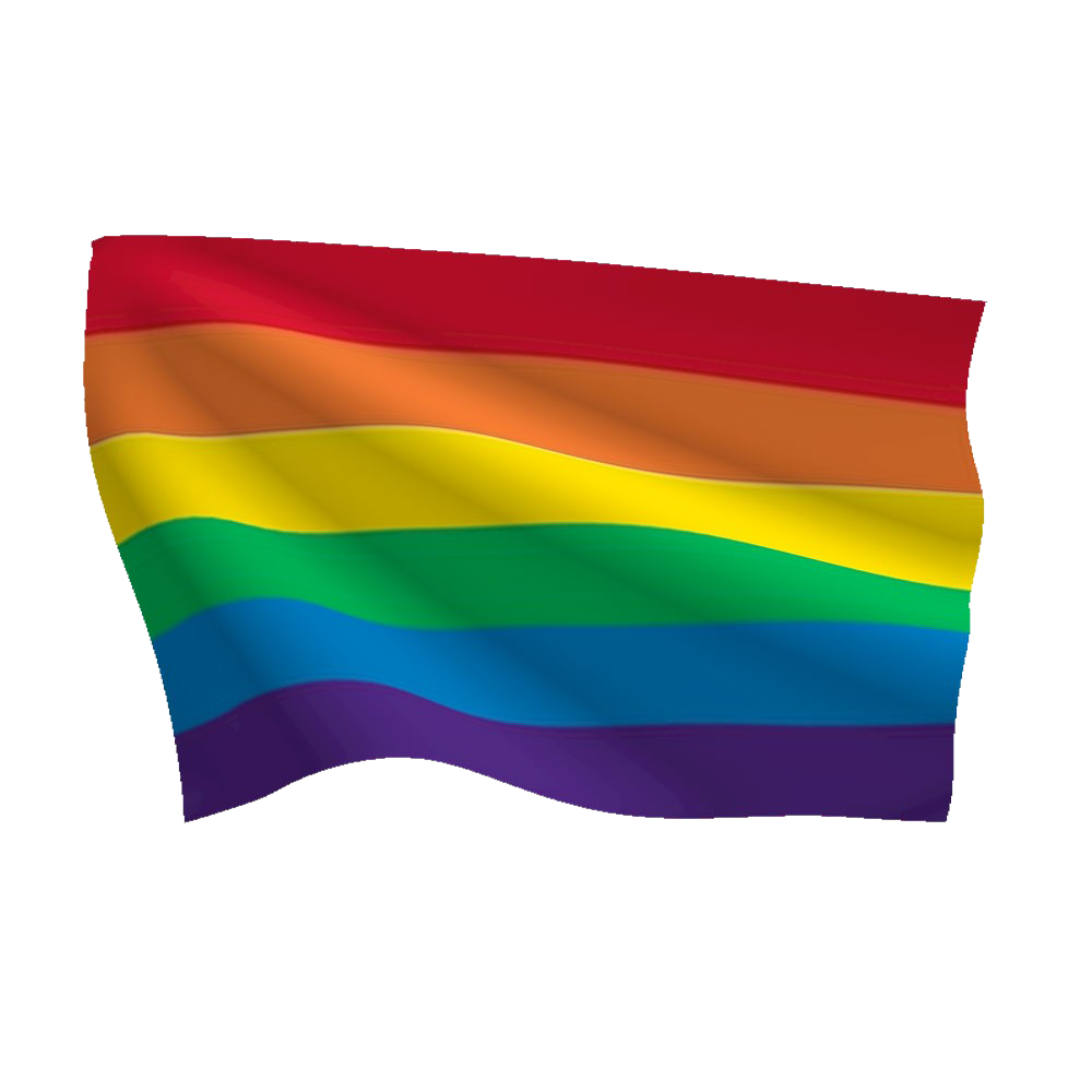 Rainbow Flag Image PNG Transparent Background 1000x1000px - Filesize ...