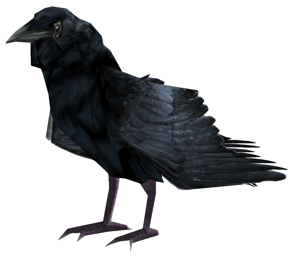 Raven Free Download PNG Transparent Background 1020x900px - Filesize ...