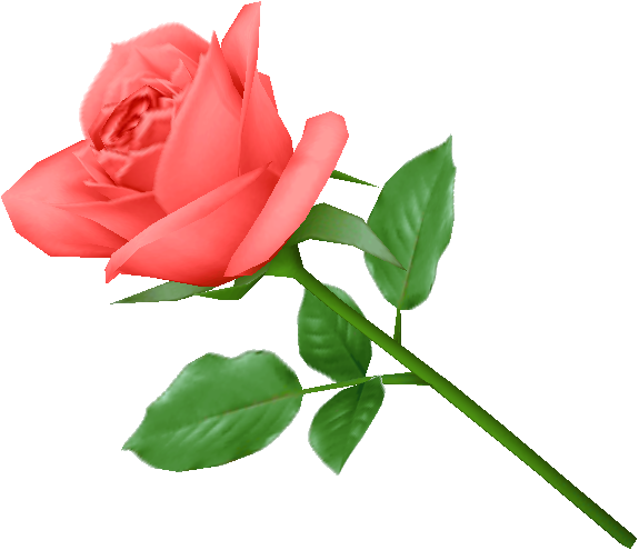 Single Pink Rose Image Picture PNG Transparent Background 575x495px ...