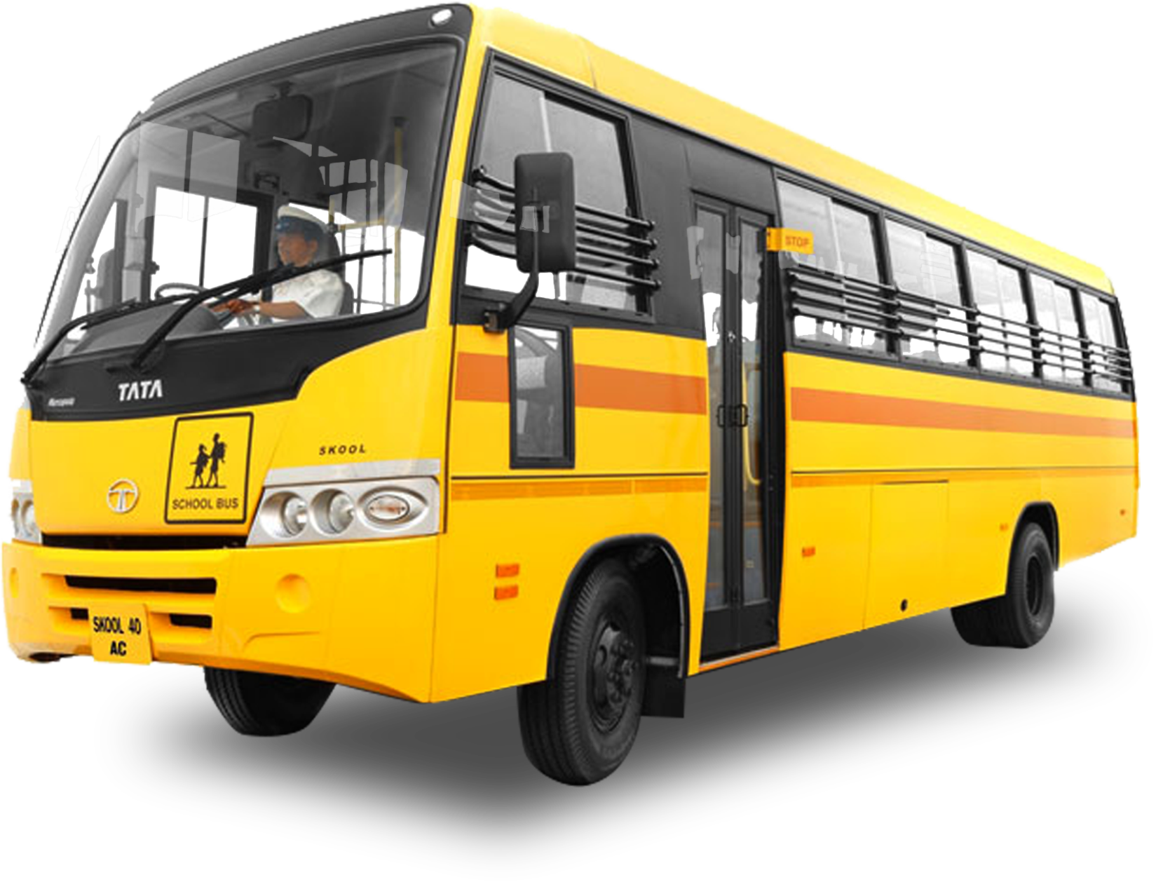 School Bus PNG Vector Images with Transparent background - TransparentPNG