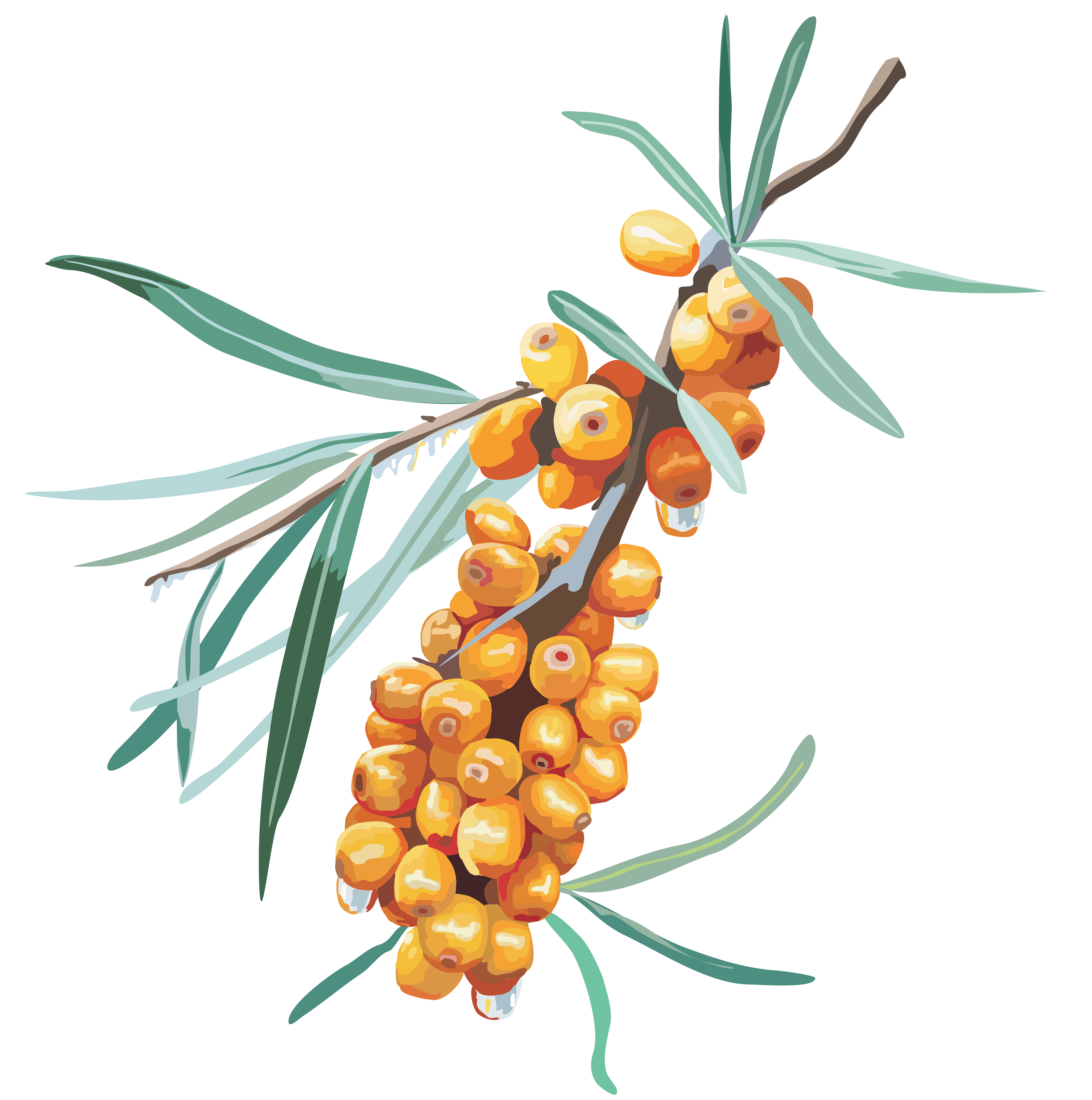 Simple Sea PNG Transparent Background 7444x7500px - Filesize: 1911630kb ...