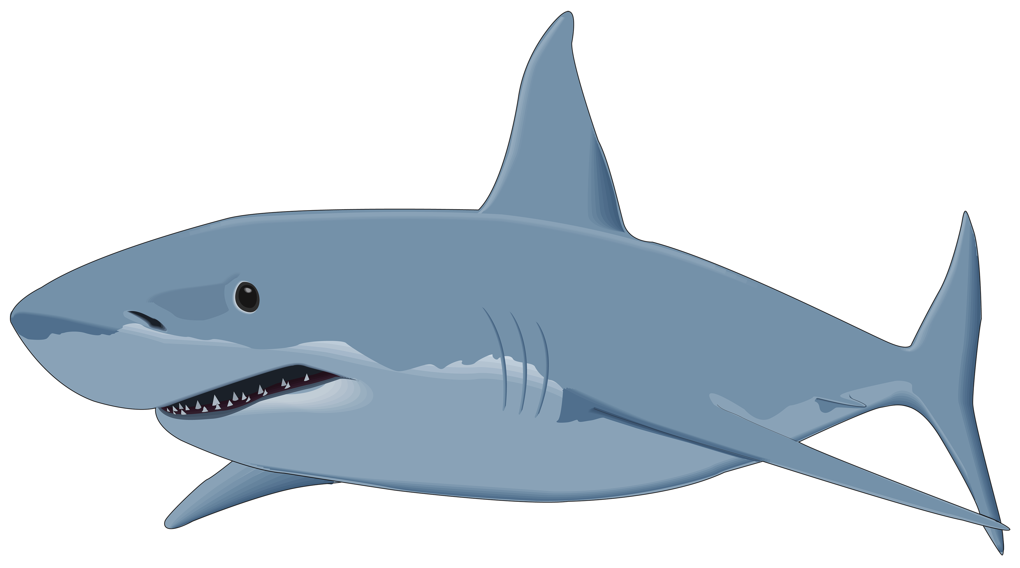 Animation Terrible Blue Shark Free Download PNG Transparent Background ...