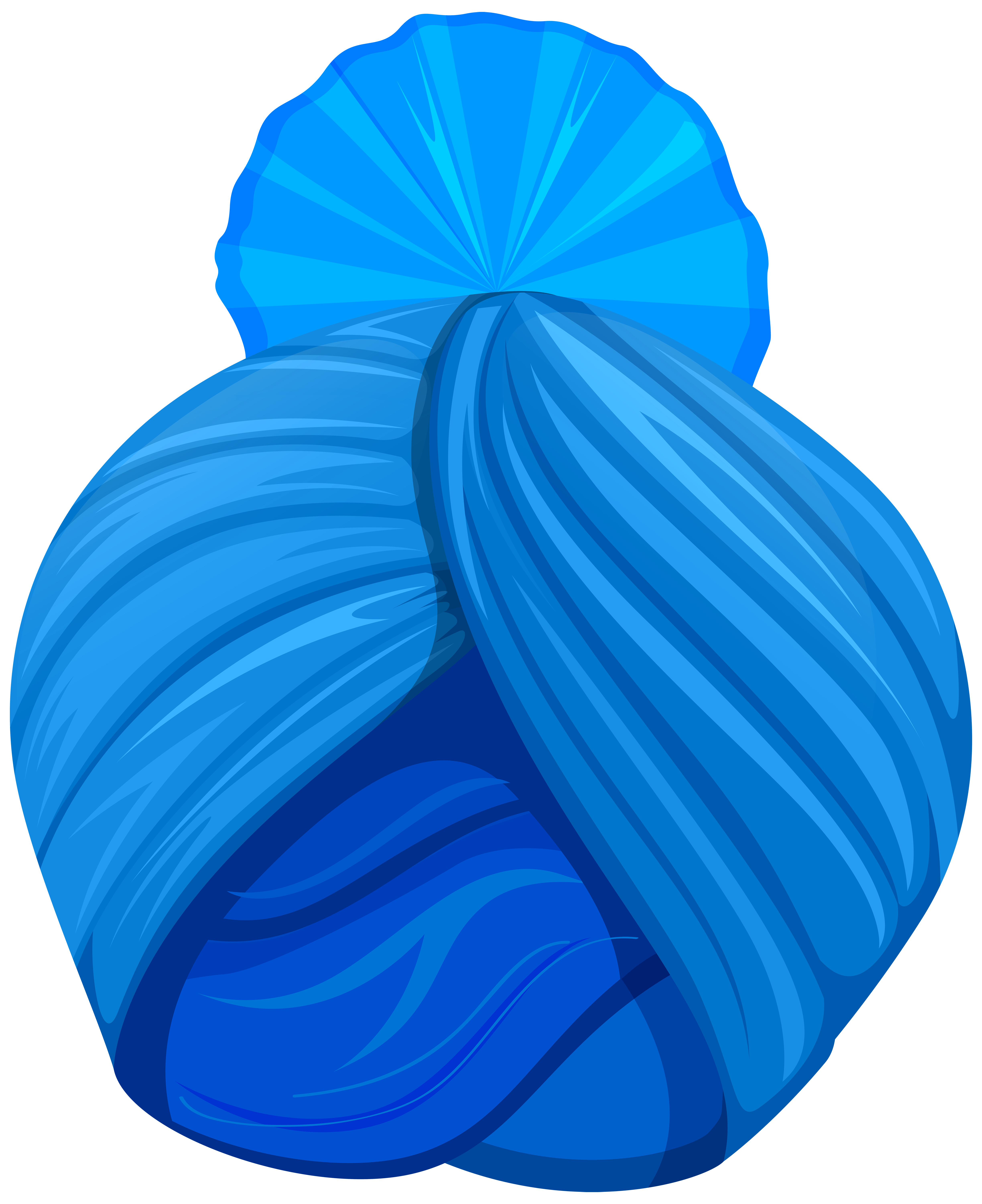 Download Blue Sikh Turban PNG Transparent Background 4895x6000px ...