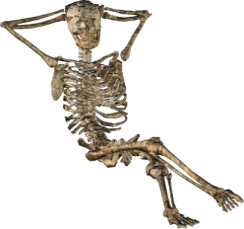 Skeleton Simple PNG Transparent Background 357x335px - Filesize ...
