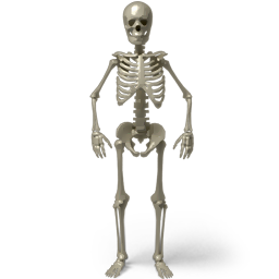 Skeleton Image PNG Transparent Background 256x256px - Filesize: 36342kb ...