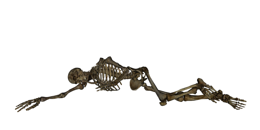 Skeleton Transparency PNG Transparent Background 900x450px - Filesize ...