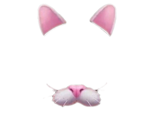 Cats, Dogs, Pink, Images About Snapchat Filters PNG Transparent ...
