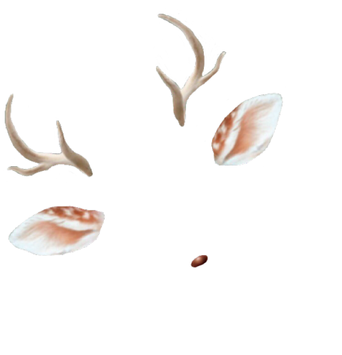 Deer, Stickers For App Images PNG Transparent Background 500x519px ...