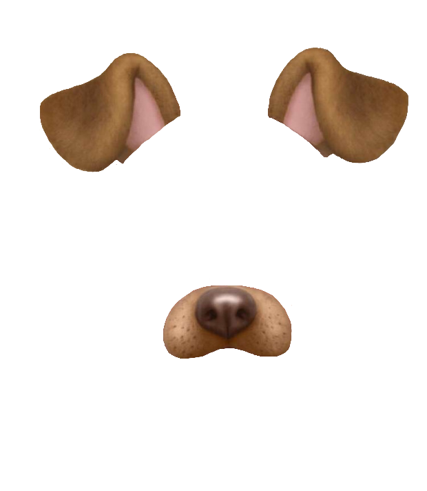 Snapchat Filters PNG Transparent Background 620x712px - Filesize ...