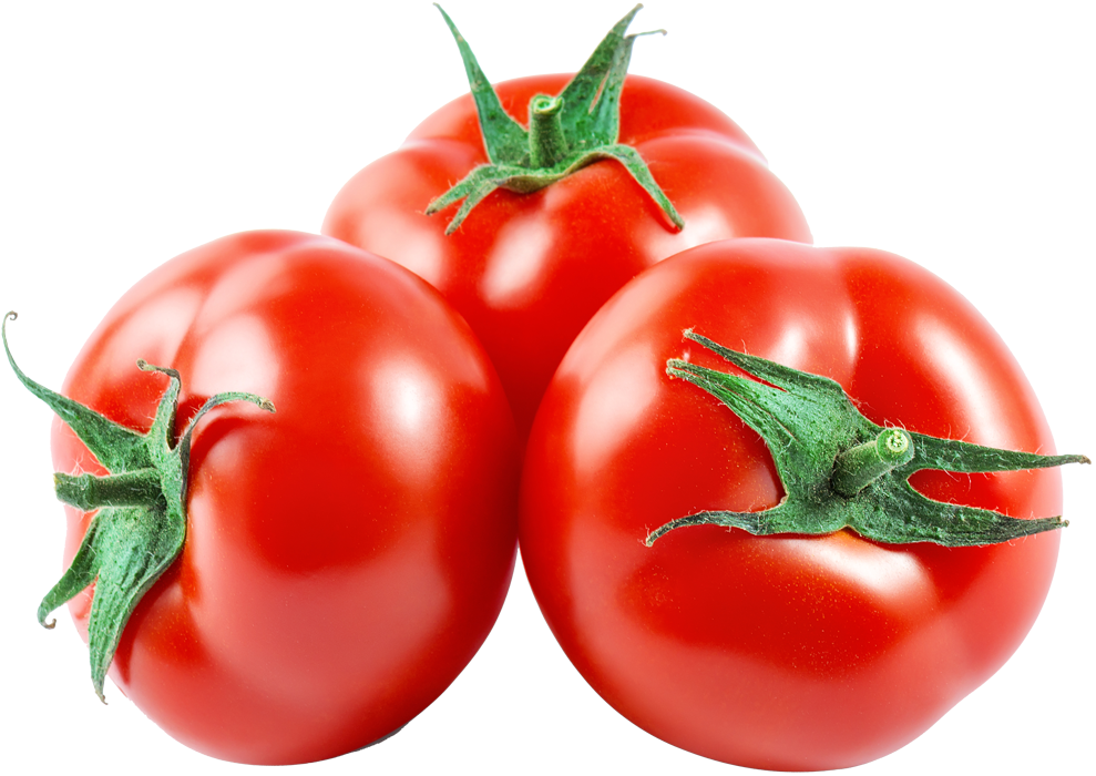 Tomato PNG Vector Images with Transparent background - TransparentPNG