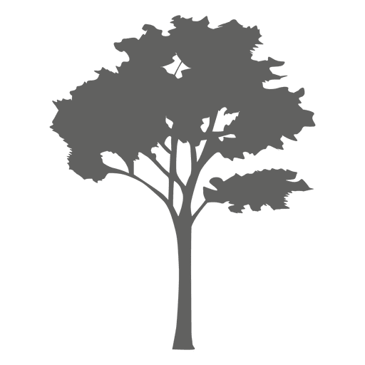 Tree Silhouette Cut Out PNG Transparent Background 512x512px - Filesize ...