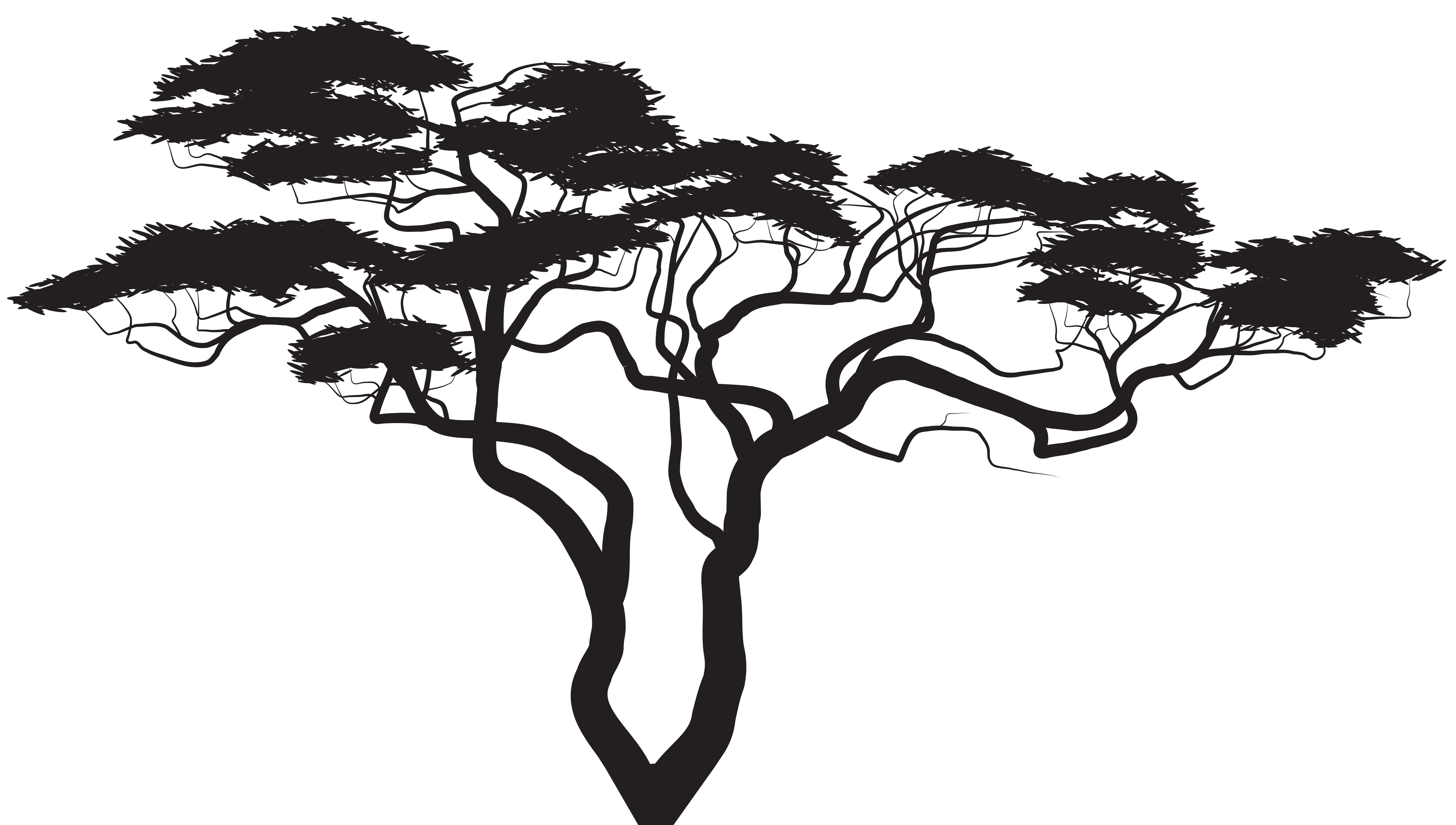 Tree Silhouette File Clipart PNG Transparent Background 8000x4532px ...