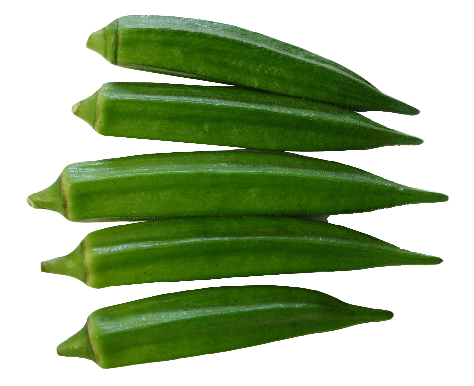 Okra Vegetable Photos PNG Transparent Background 962x784px - Filesize ...