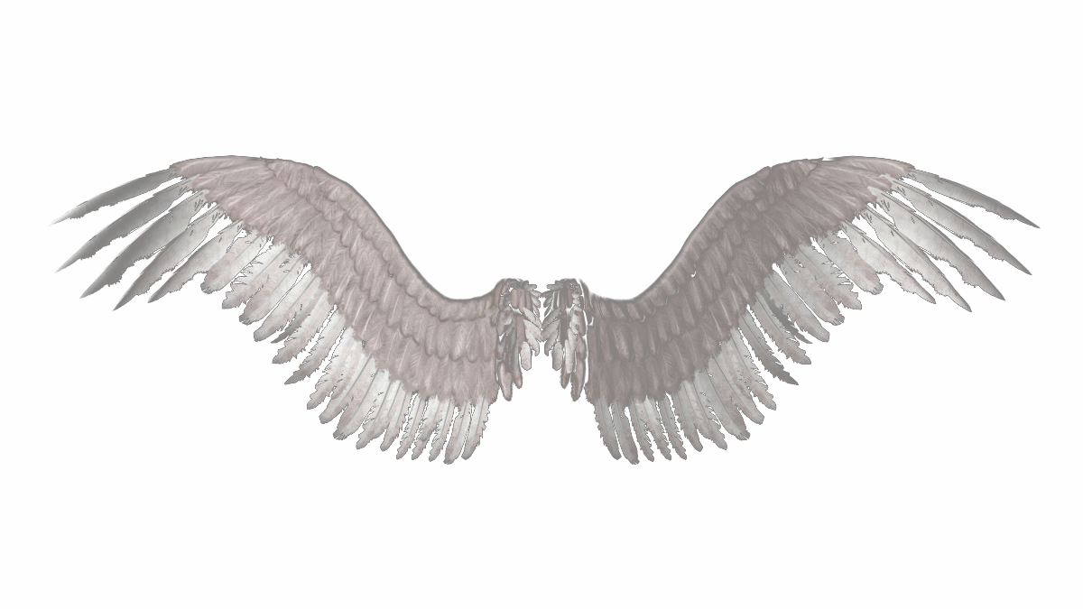 Wings PNG Transparent Background 1200x675px - Filesize: 471308kb ...
