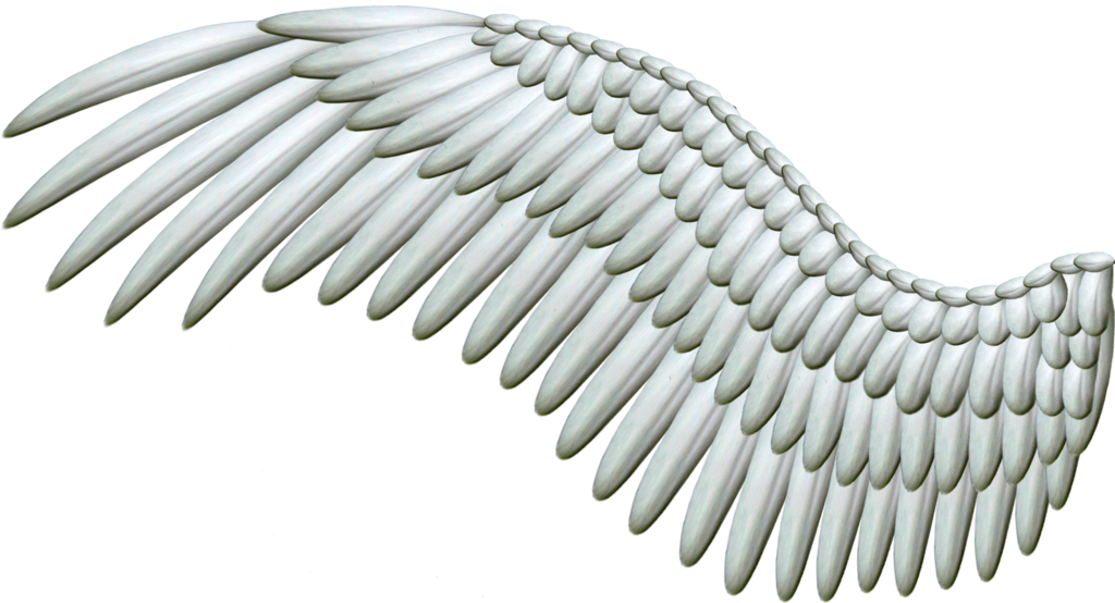 Silver Wings Cut Out Photo PNG Transparent Background 1024x554px ...