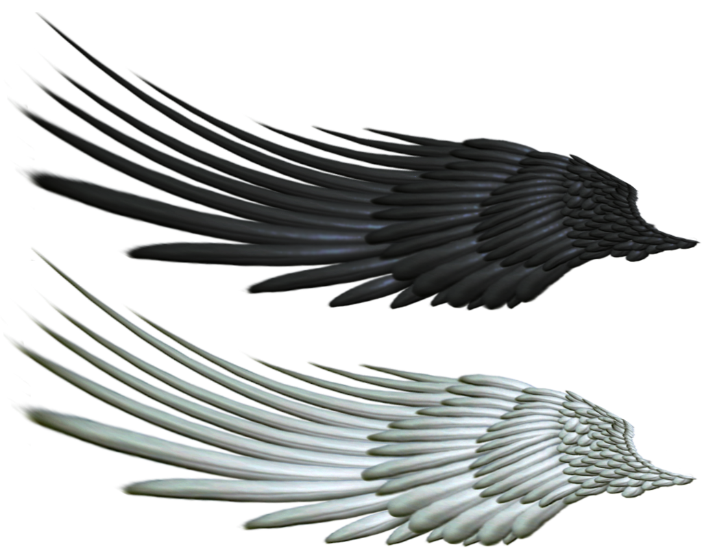 Wings Icon Clipart PNG Transparent Background 1024x817px - Filesize ...