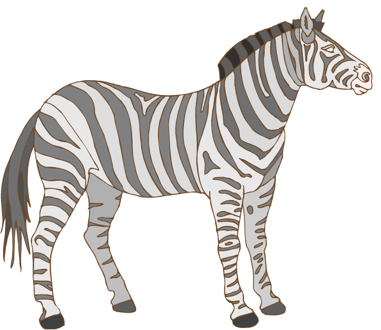 Zebra Clipart PNG Transparent Background 750x650px - Filesize: 142217kb ...